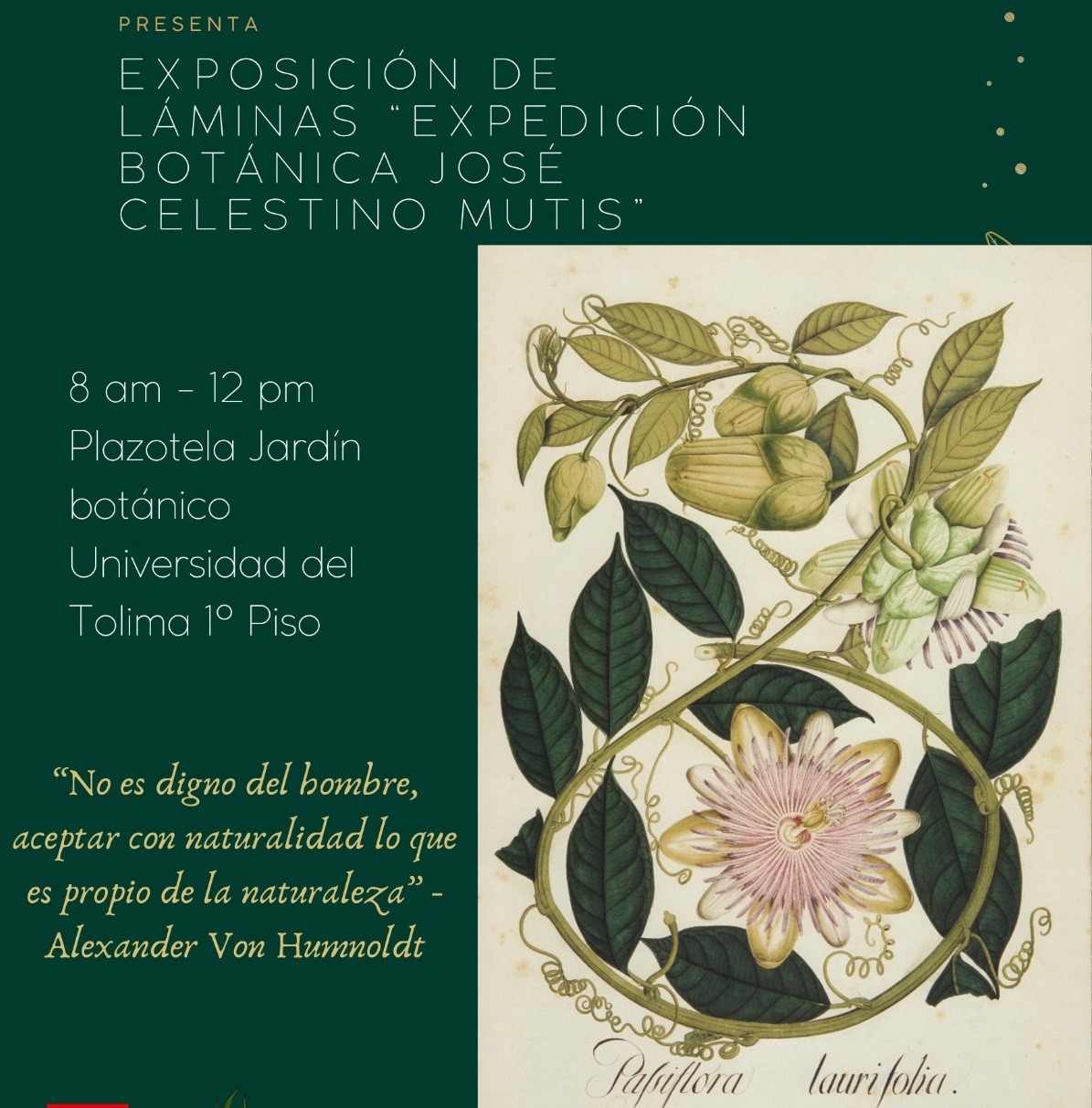Participa de la Exposición de Láminas “Expedición Botánica José ...